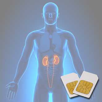 Frequenz Chipcards für Diamond Shield Zapper und Biowave Zapper